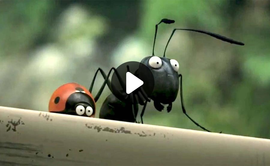 انیمیشن سریال زندگی حشرات Minuscule 2006 | تماشا و دانلود-دیجیتون